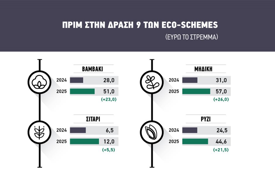 Μόνο μέσω eco- schemes η αναδιανομή 80 εκατ. σε βαμβάκι, σιτάρι, ρύζι ...